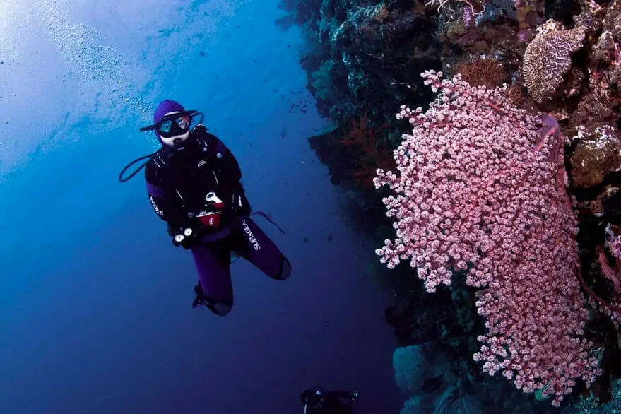 Multiple-day Fun Dive packages - Bali FUN Diving
